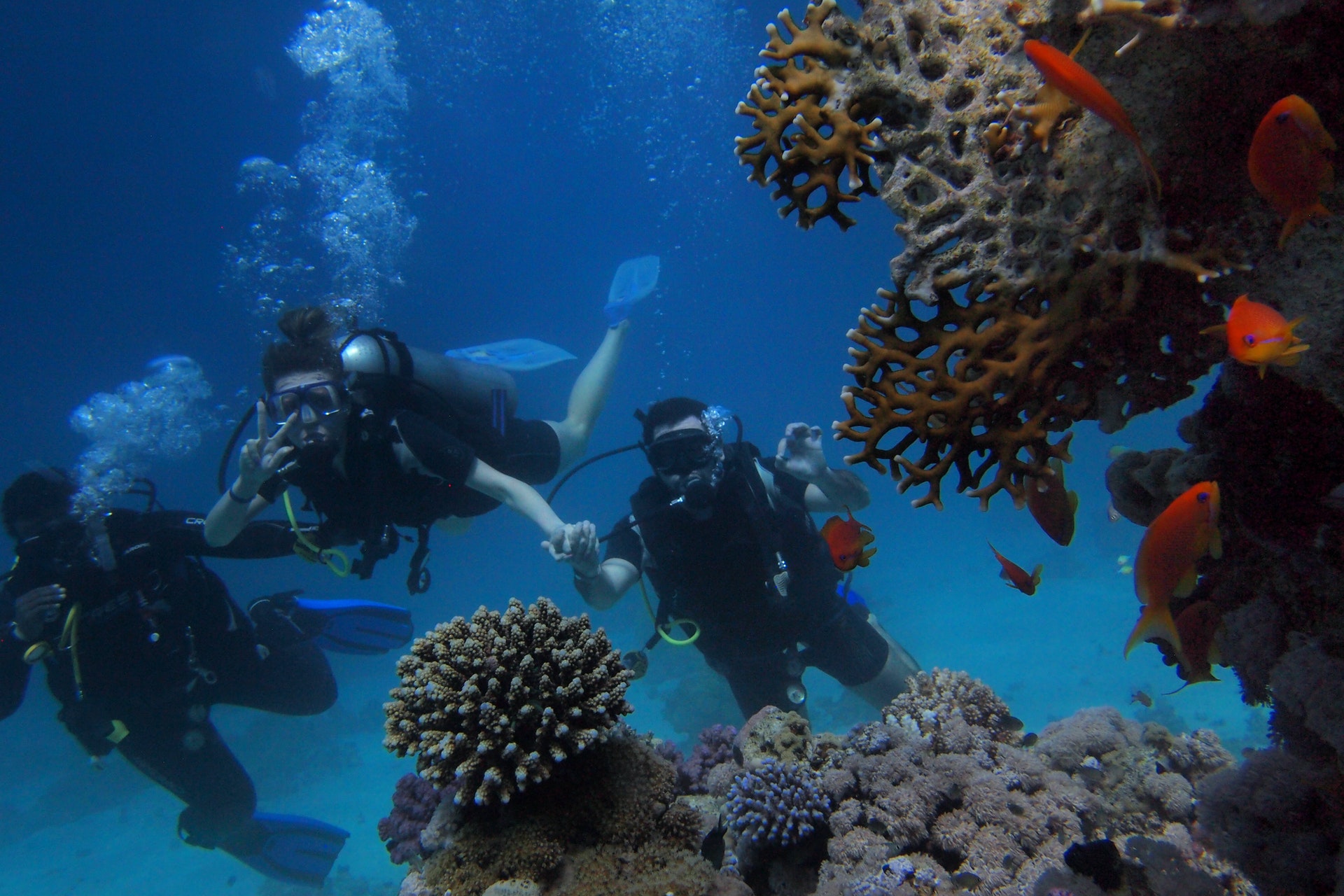 A Beginner's Checklist of Supplies Needed Before Scuba Diving - Mass News