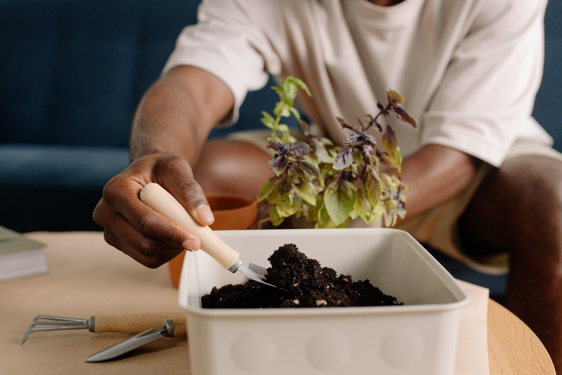 3 Effective Tips for Developing a Soil Management Plan - Mass News